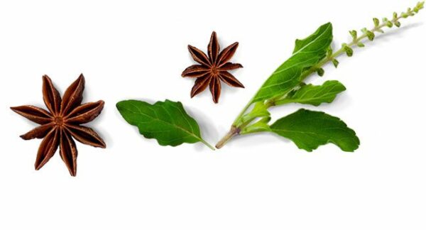 NeuroShield Brain & Memory Complex - Herbal Nutrition